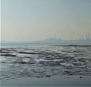 How was Venice built? The extraordinary building technique of Venice.